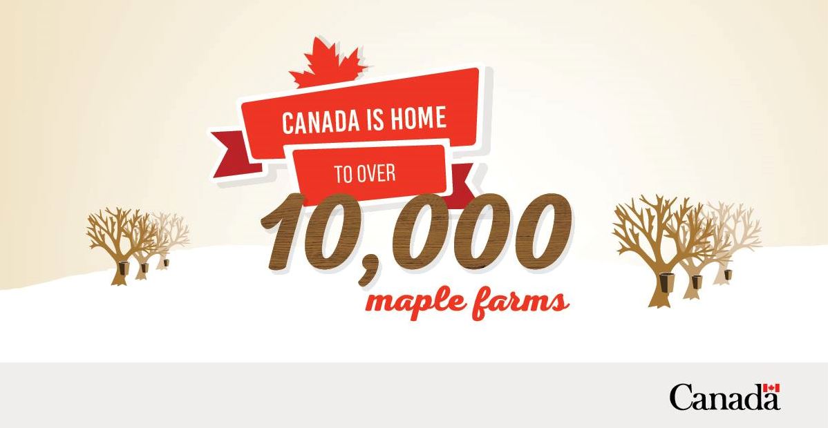 10,000 Canadian Maple Farms